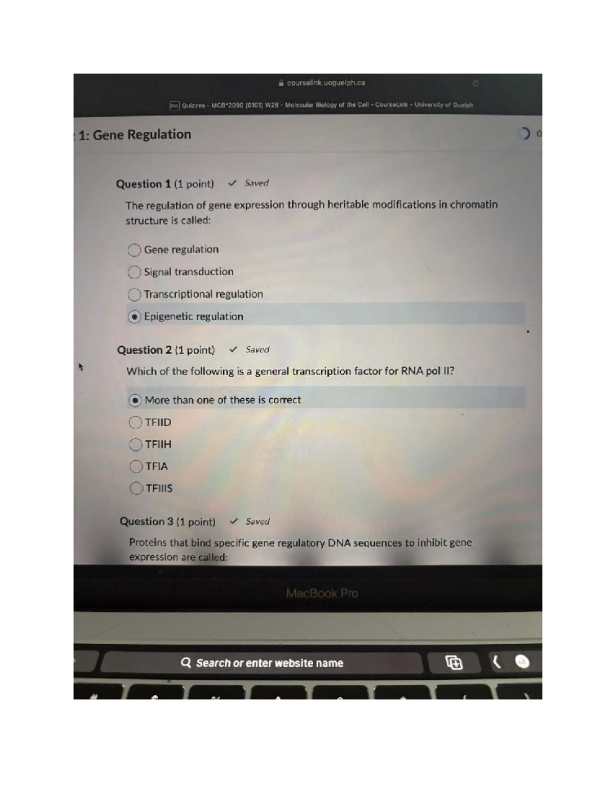 MCB*2050 Quiz 2: Gene Regulation Insights and Questions - Studocu