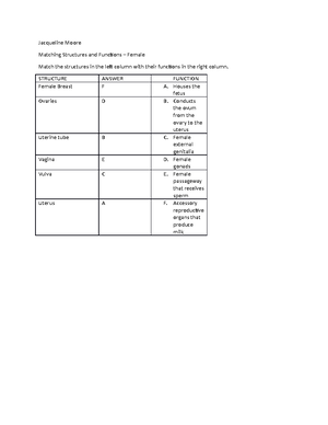 Oxytocin Medication Assignment - ACTIVE LEARNING TEMPLATES Medication ...