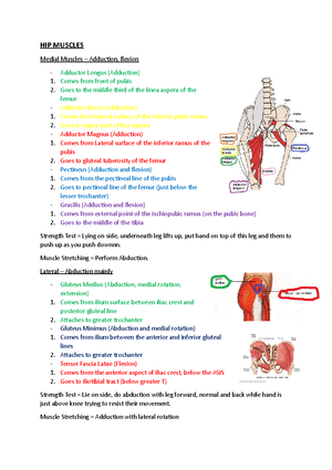 Sit to stand - Sit to Sit to stand Phases of STS 1. Flexion momentum ...