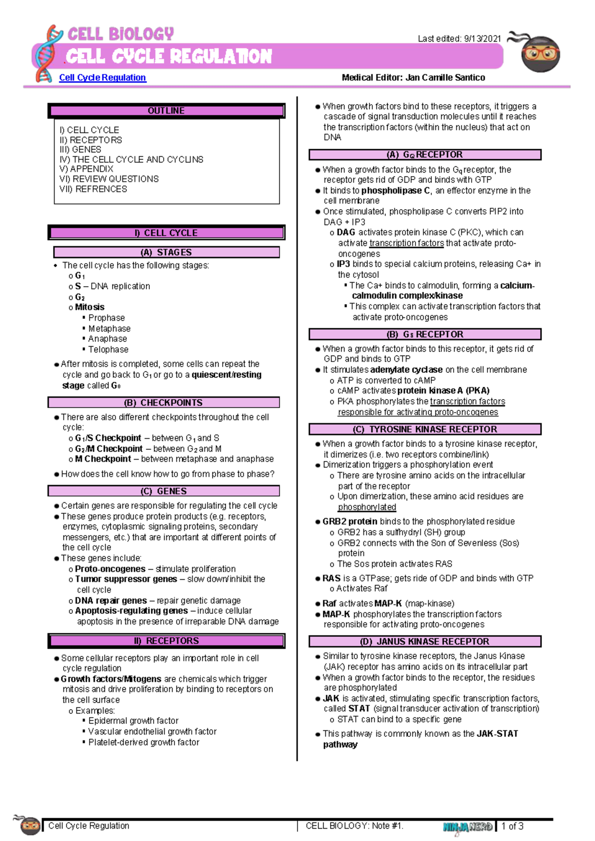 CELL BIOLOGY: Cell Cycle Regulation Overview and Key Concepts - Studocu