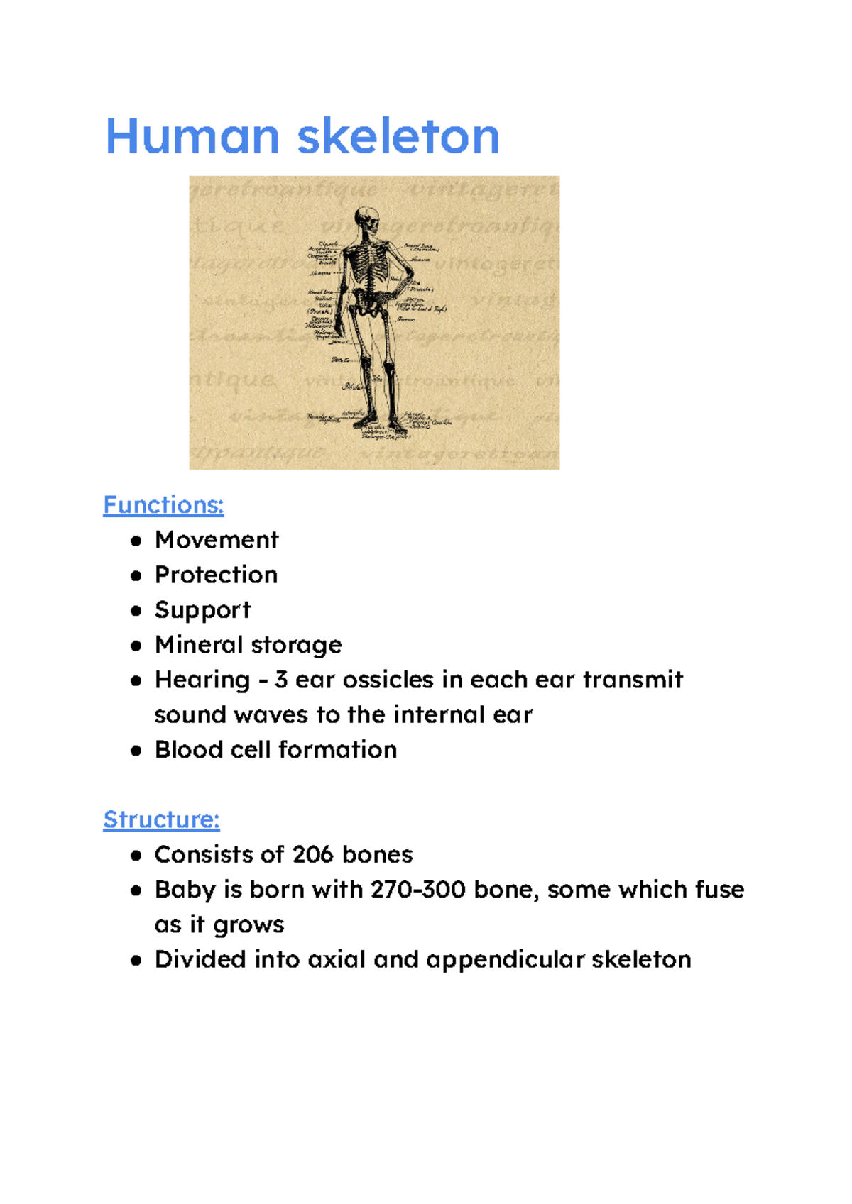 Grade 10 Human Skeleton Notes: Structure and Functions Explained - Studocu