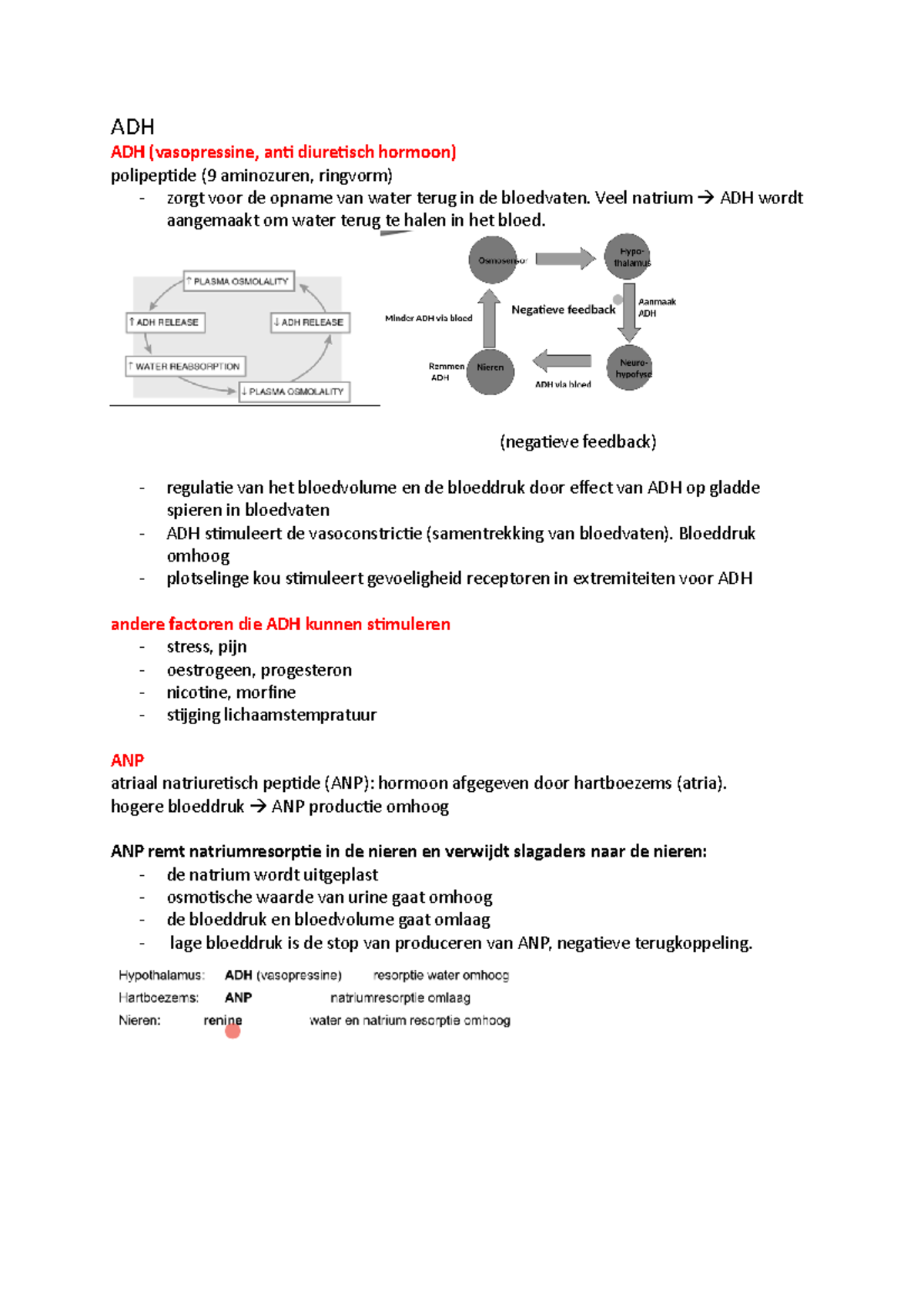 ADH - ADH ADH (vasopressine, anti diuretisch hormoon) polipeptide (9 ...