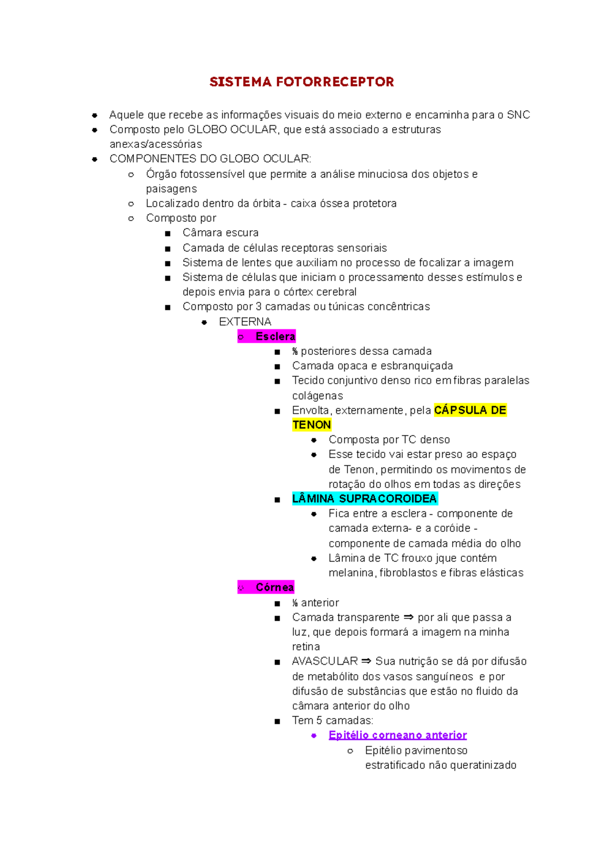 Sistema fotorreceptor - SISTEMA FOTORRECEPTOR Aquele que recebe as ...