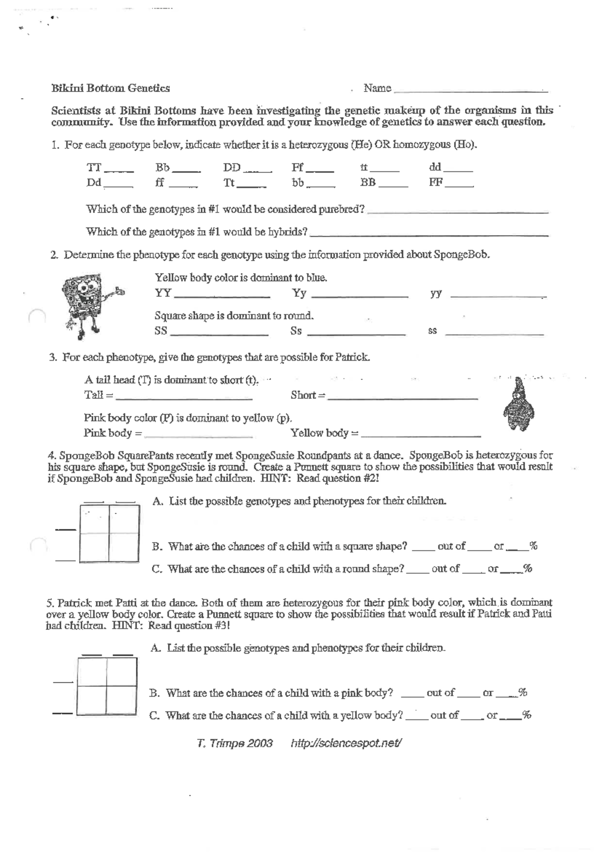 Bikini Bottom Genetics: Genotypes, Phenotypes & Punnett Squares - Studocu
