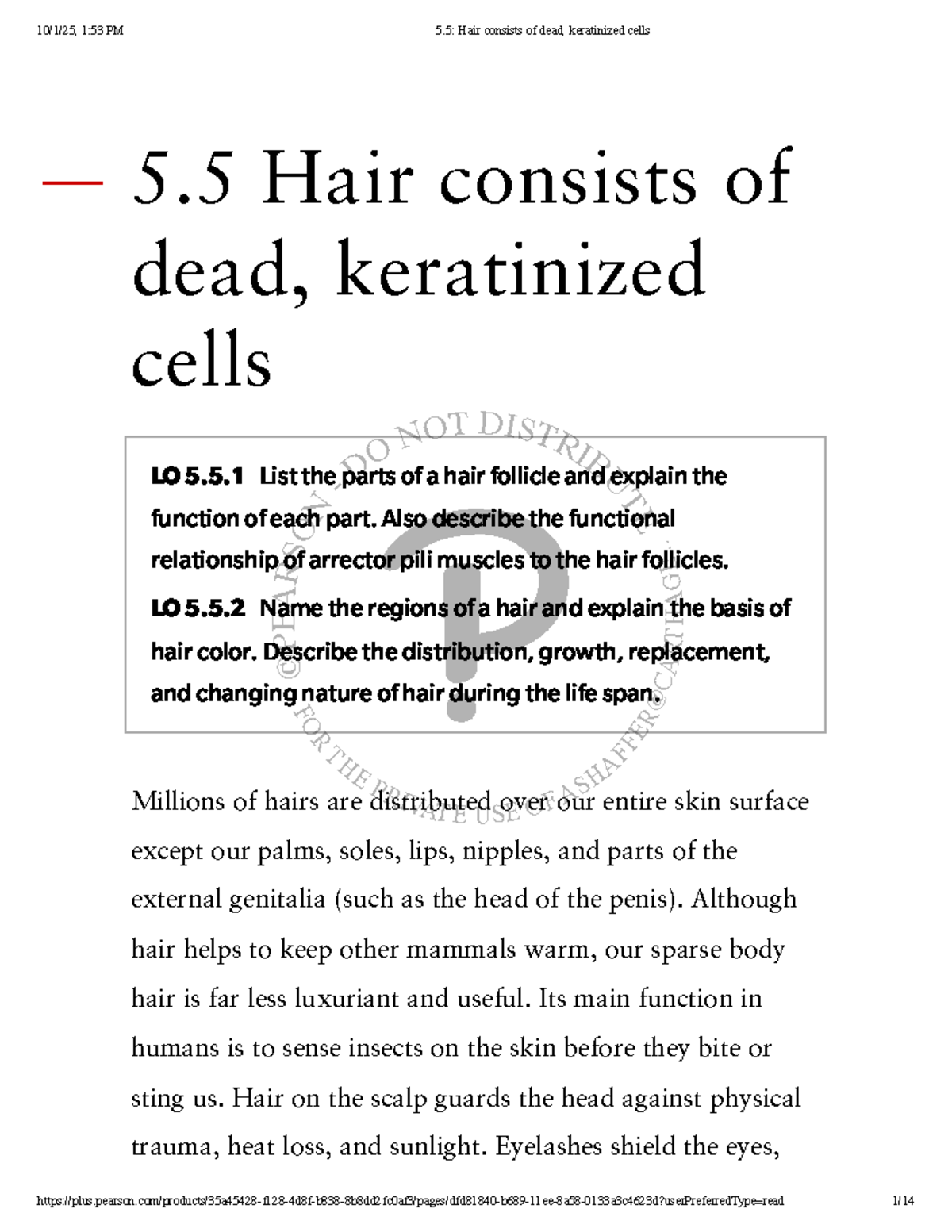 Understanding Hair Structure and Function: Biology 5.5 Notes - Studocu