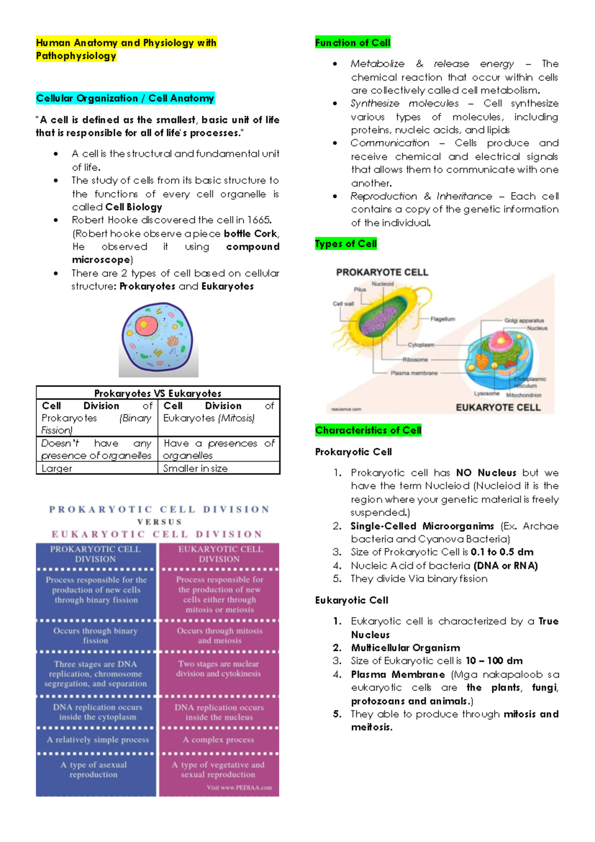 Lesson 3 - Cell Anatomy Notes (BIO 101) - Studocu