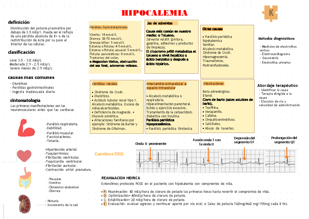 Hipokalemia - Resumen de Definición y Tratamiento - Studocu