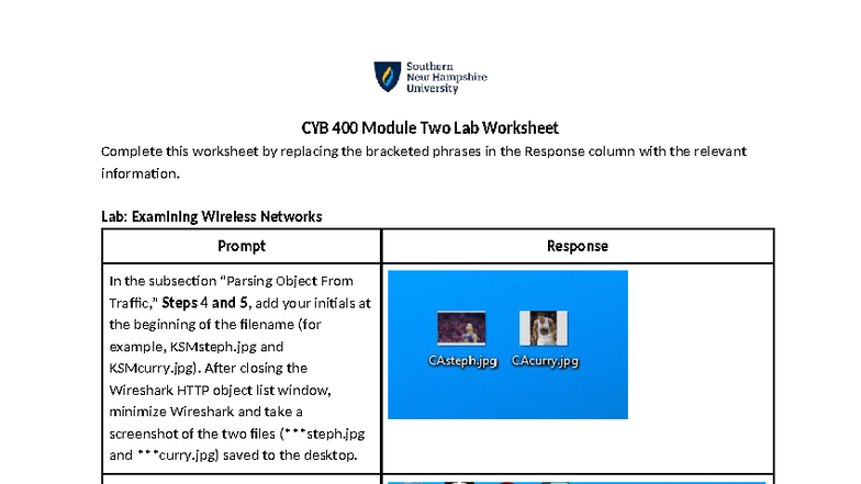 CYB 400 Module Two Lab Worksheet on Network Analysis and Security - Studocu