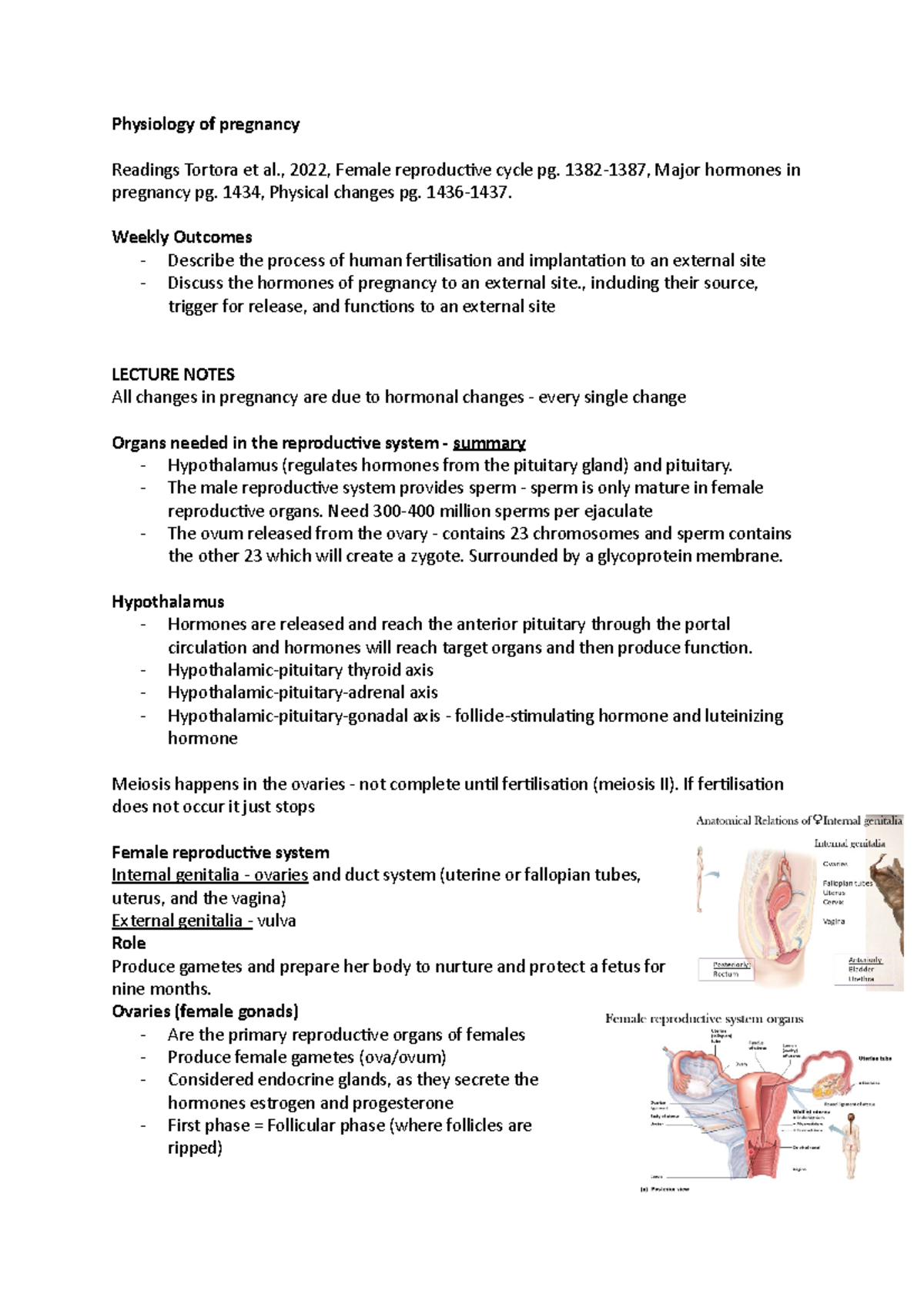 HAP609 WEEK 3 - Lecture Notes on Pregnancy Physiology and Hormones ...