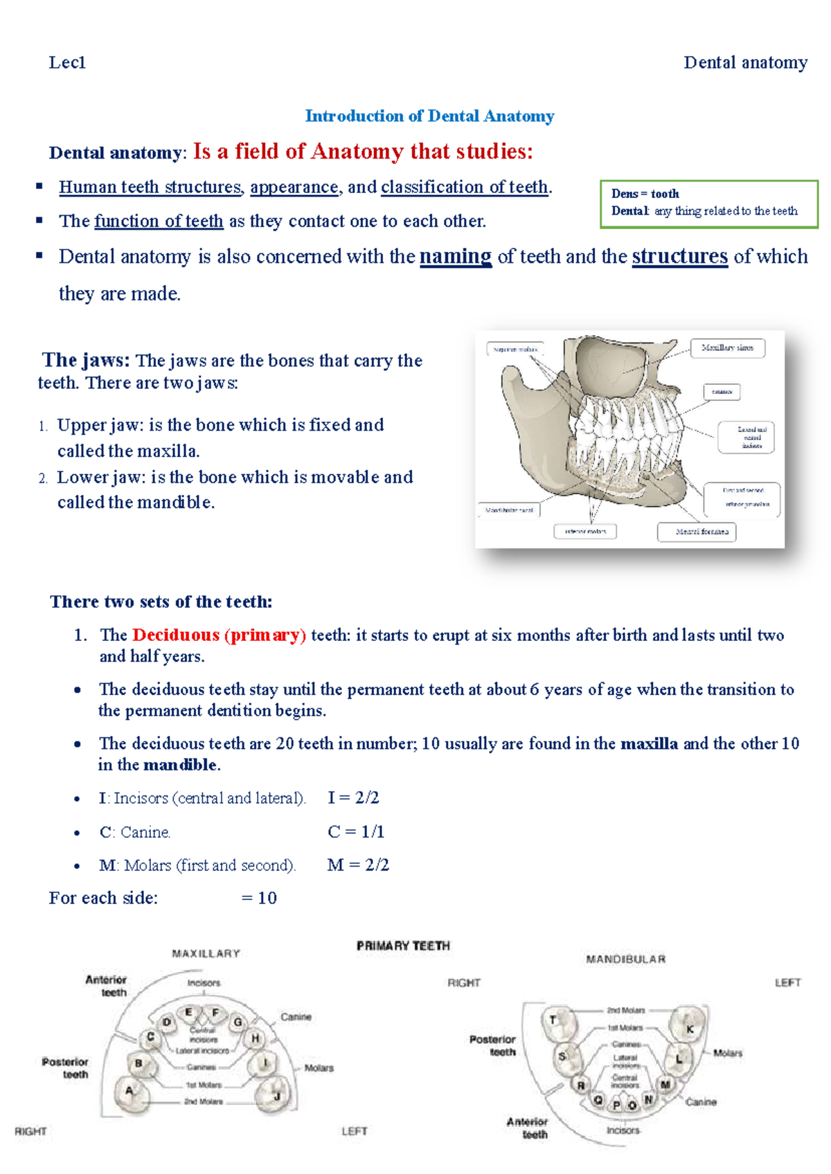 Lec1 Dental Anatomy: Introduction to Human Teeth Structures - Studocu