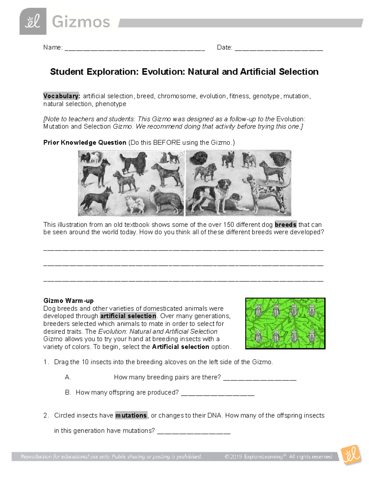 Evolution: Natural & Artificial Selection Study Guide (SE) - Studocu