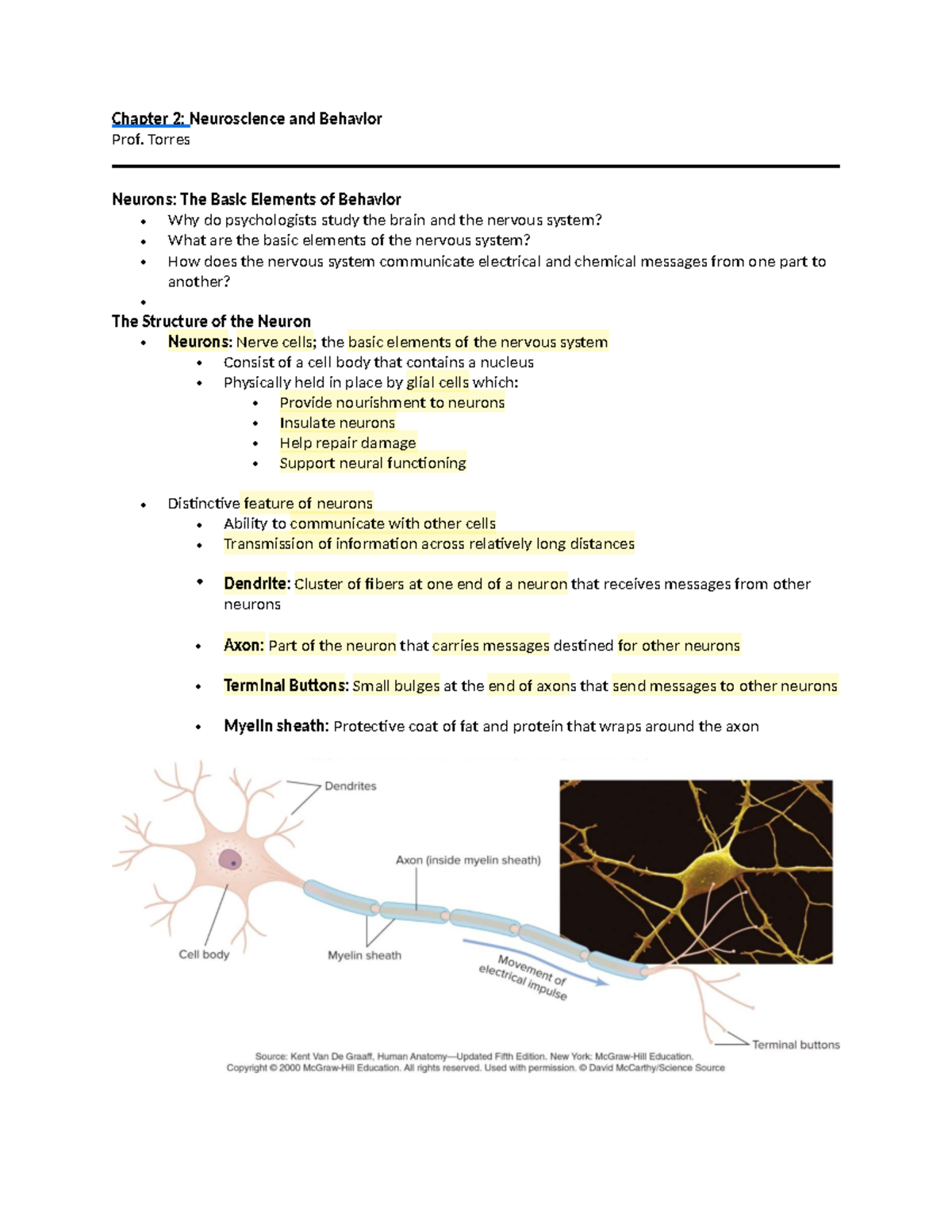 Chapter 2: Neuroscience and Behavior (PSY 101) - Neurons and Their ...
