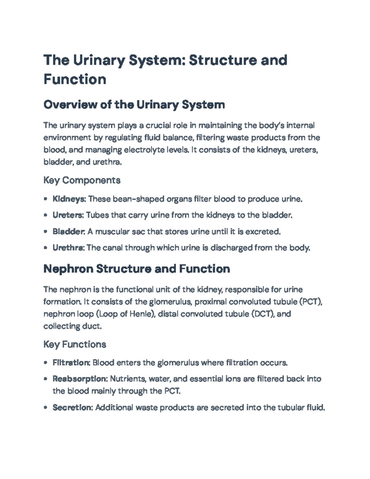 Understanding the Urinary System: Structure, Function, and Regulation ...