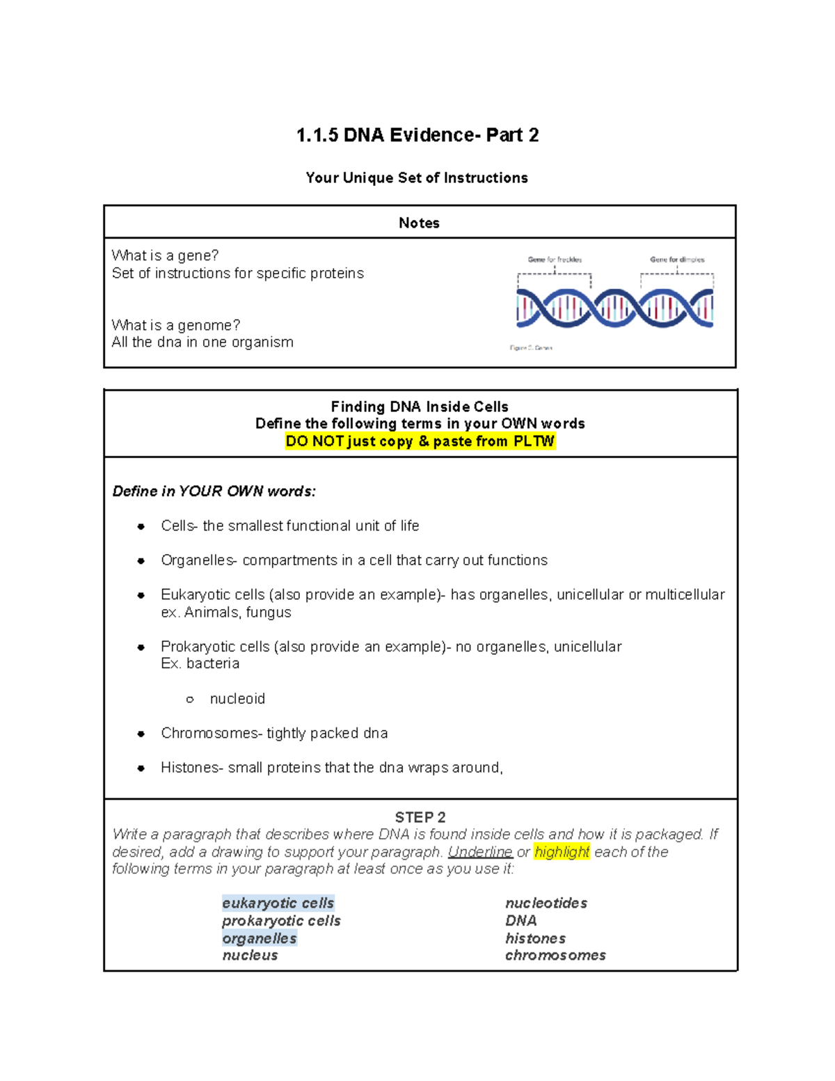 1.1.5 DNA Evidence Notes - PLTW PBS: Understanding Genes & Genomes ...