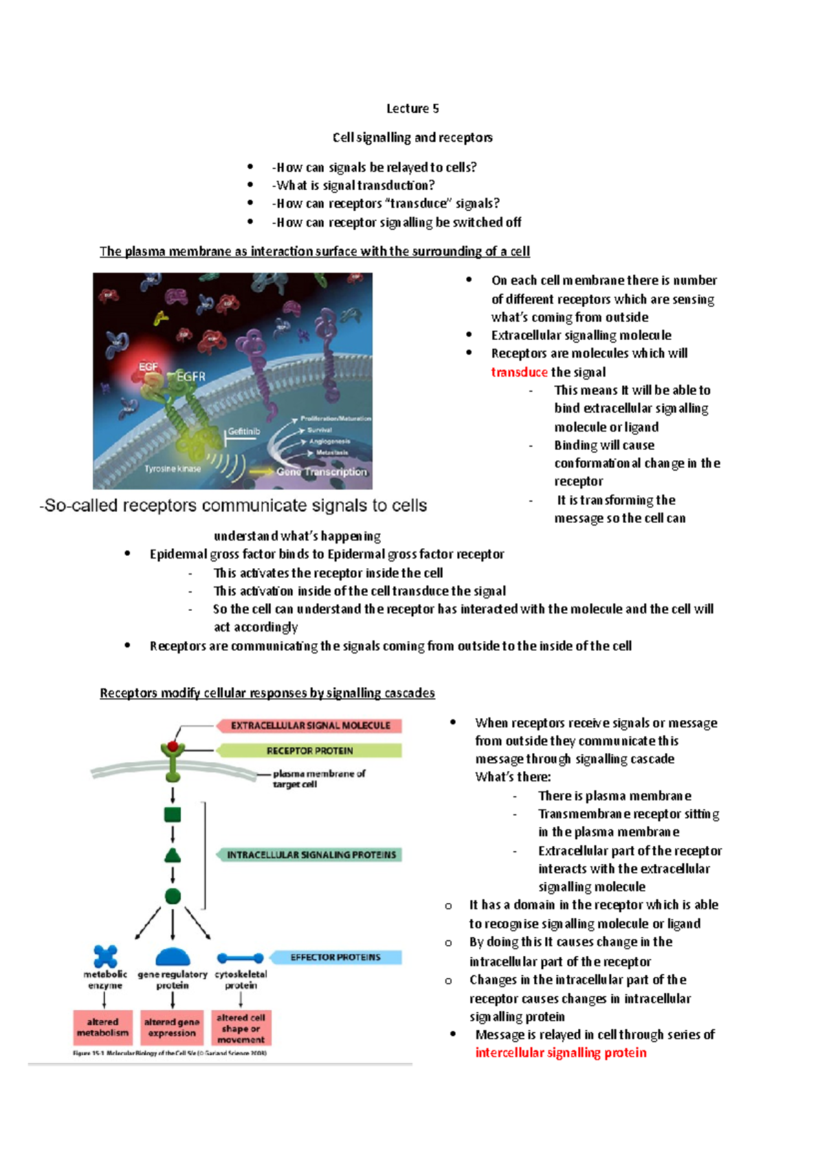 Lecture 5: Cell Signalling & Receptors in Cell Biology (BIO101) - Studocu