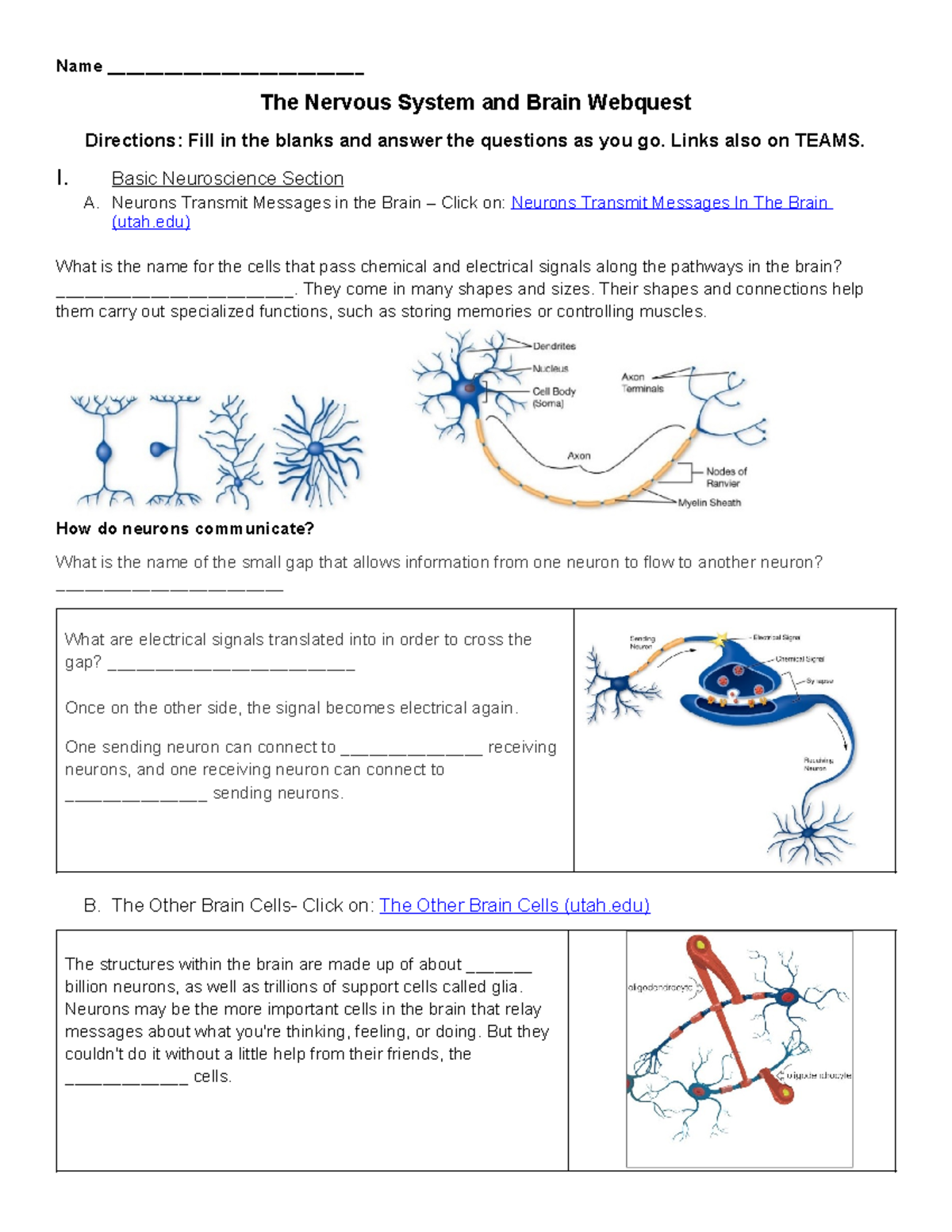 Nervous System & Brain Webquest: Key Concepts & Insights - Studocu