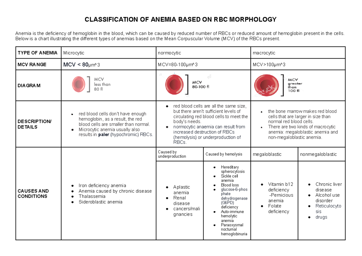 MCV-Based Anemia Classification: Microcytic, Normocytic, Macrocytic ...