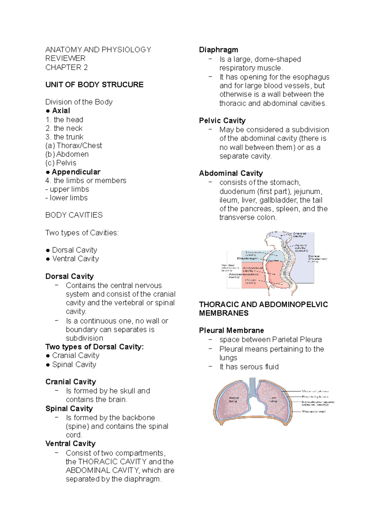 ANATOMY AND PHYSIOLOGY REVIEWER: CHAPTER 2 - BODY STRUCTURE - Studocu