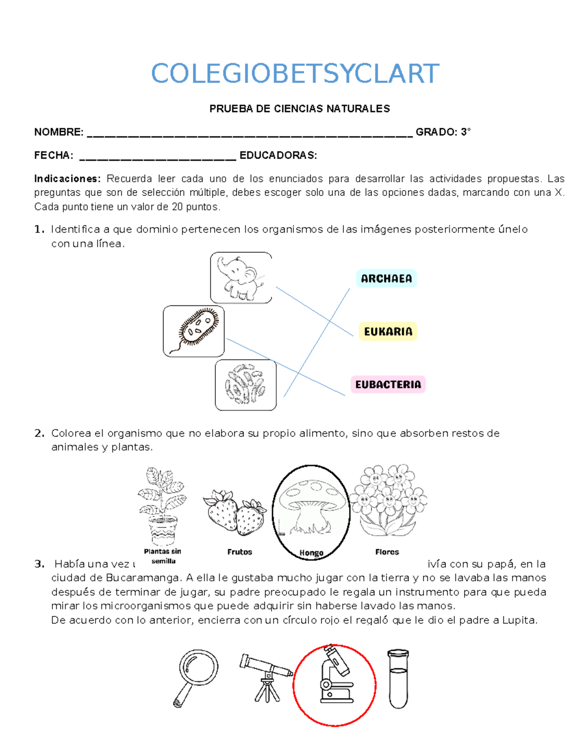 Evaluación Prueba De Ciencias Naturales Para Grado 3 Studocu
