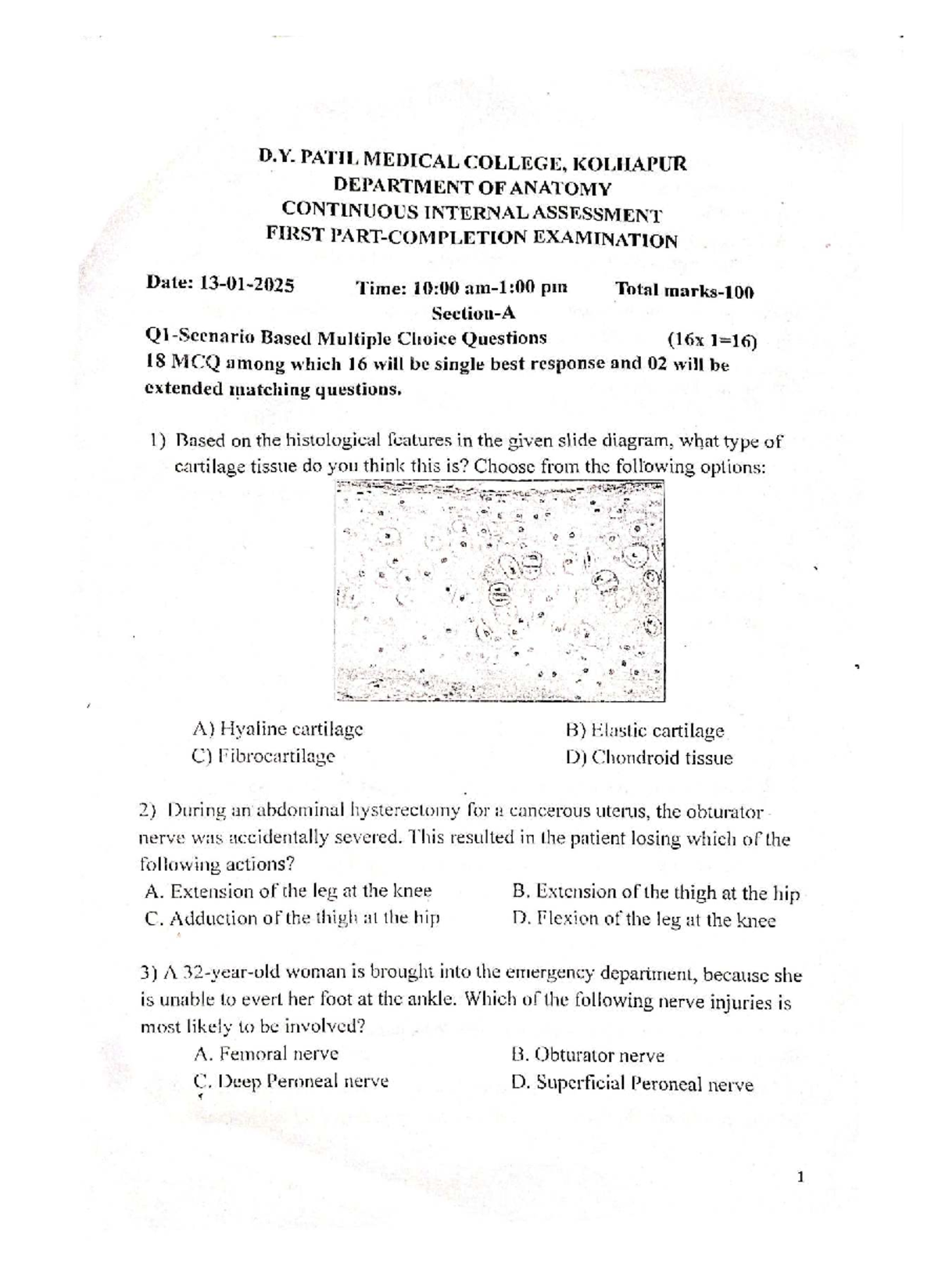 1st Year MBBS Anatomy Question Paper 2024-25: Comprehensive Assessment ...