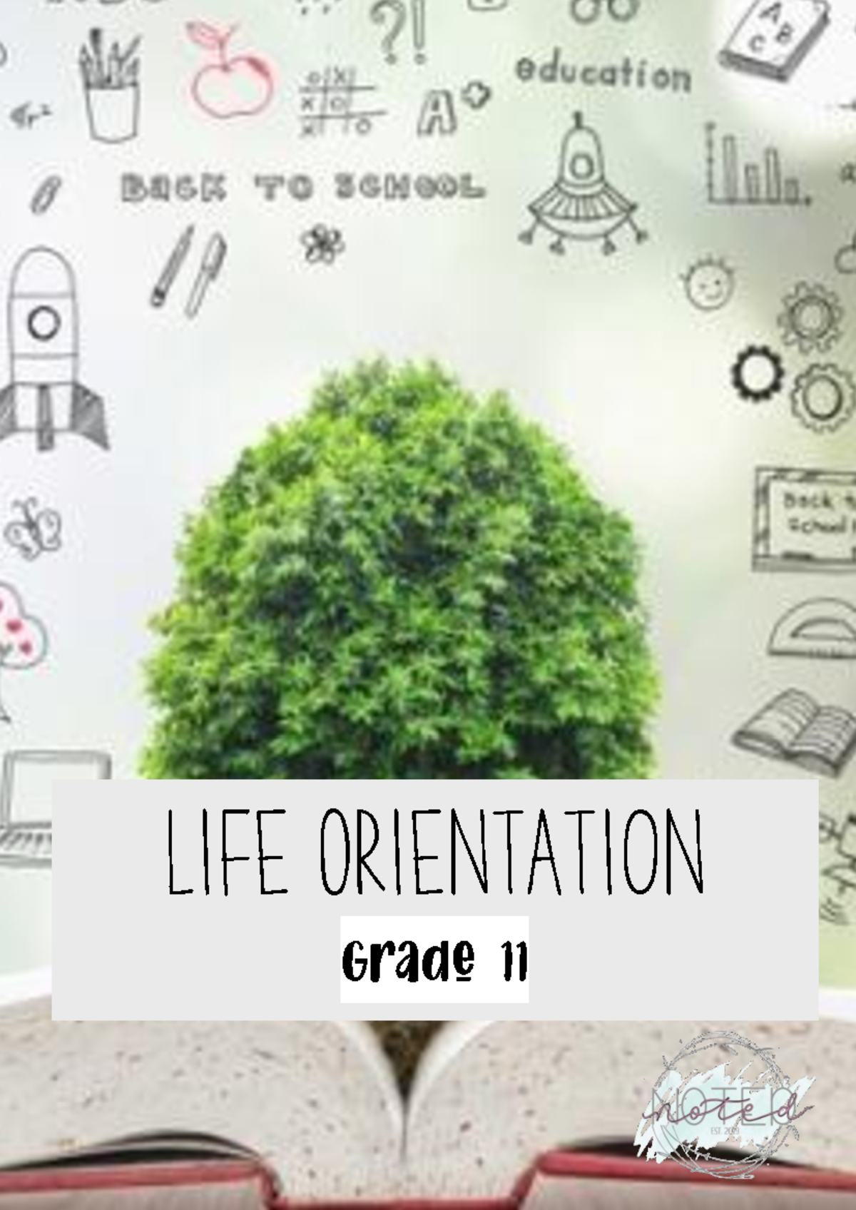 Grade 11 Life Orientation: Comprehensive Study Notes on Goals, Skills ...