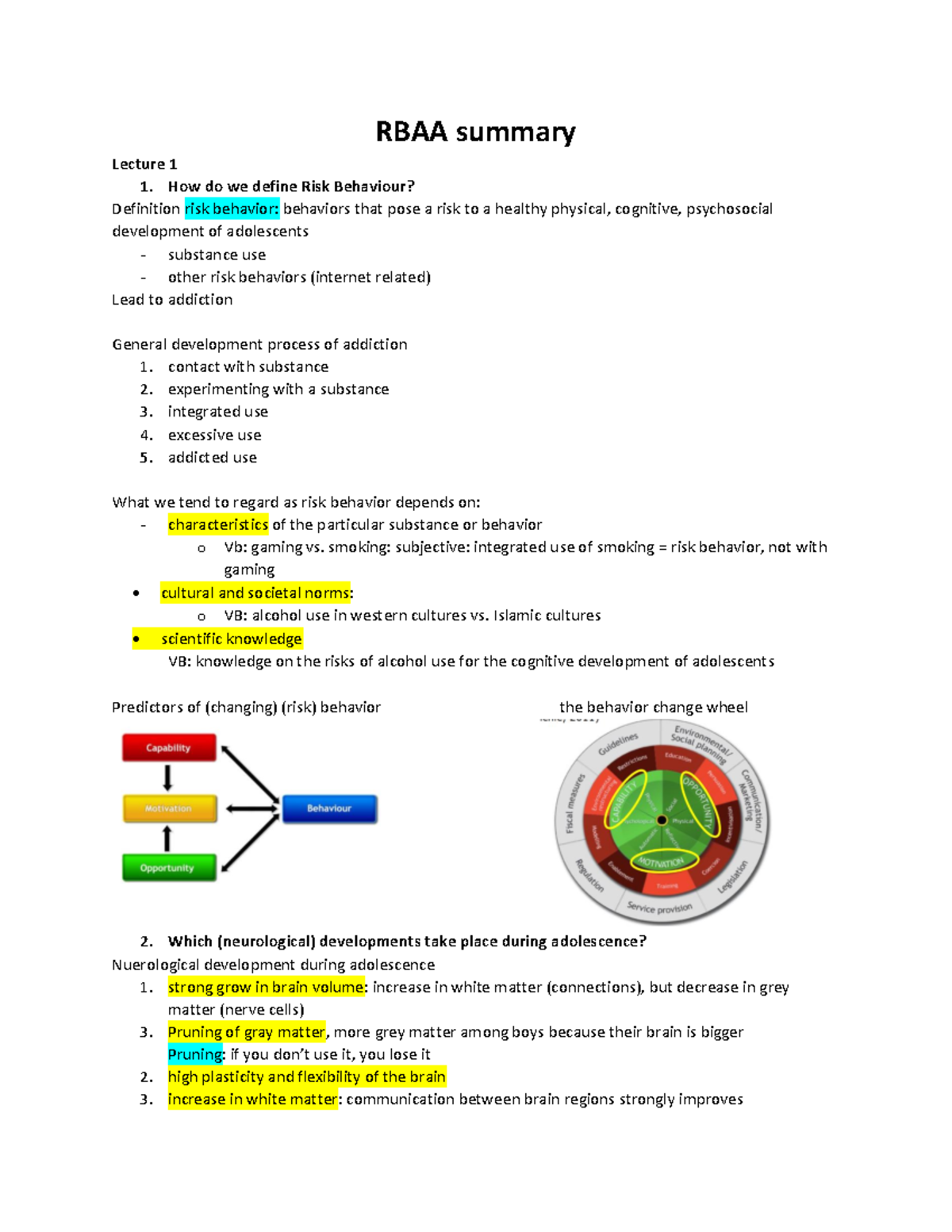 RBAA Lecture Summary: Understanding Adolescent Risk and Addiction ...