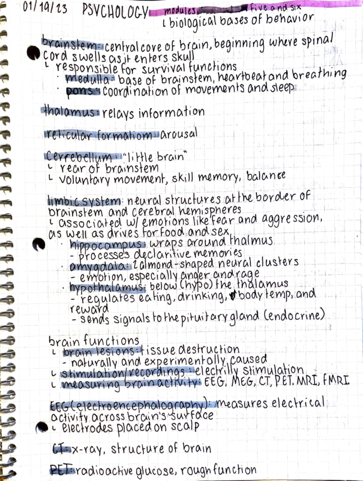 PSY100Modules 56 - Covers modules 5-6 and biological bases for behavior ...