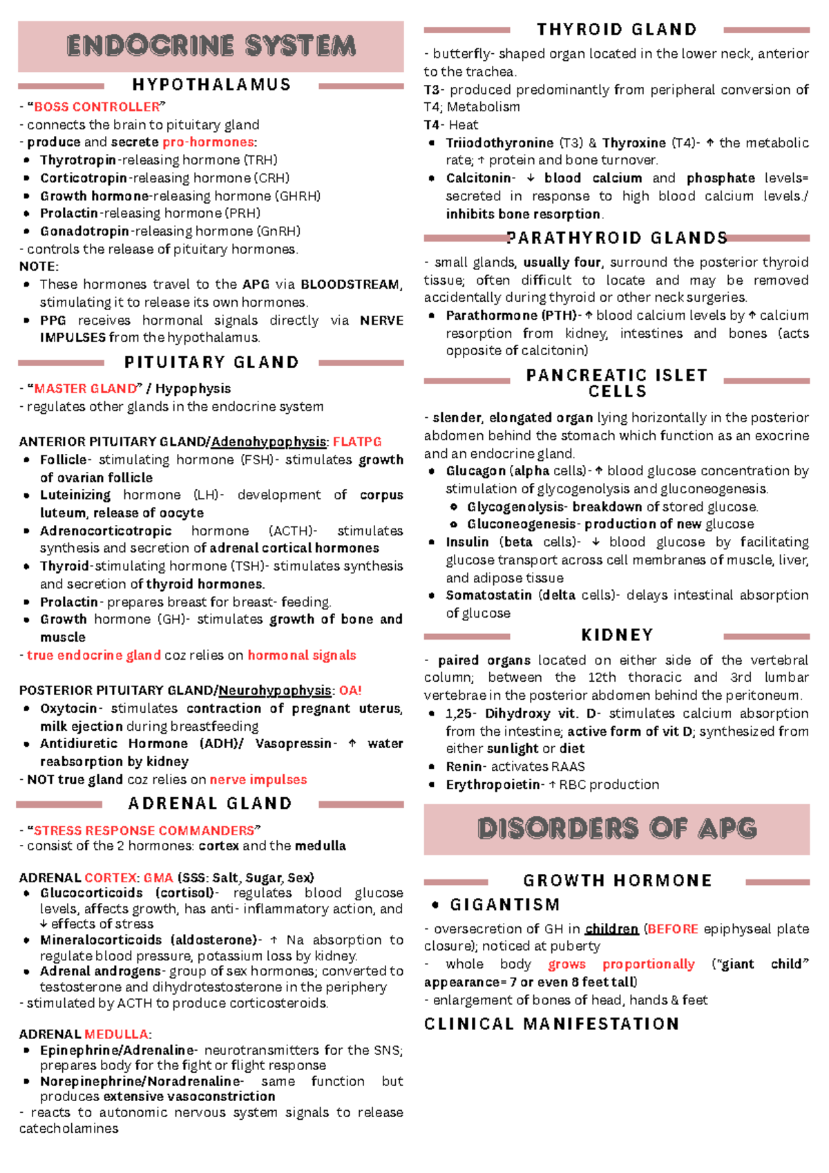 Endocrine System Overview - MS ENDO Lecture Notes - Studocu