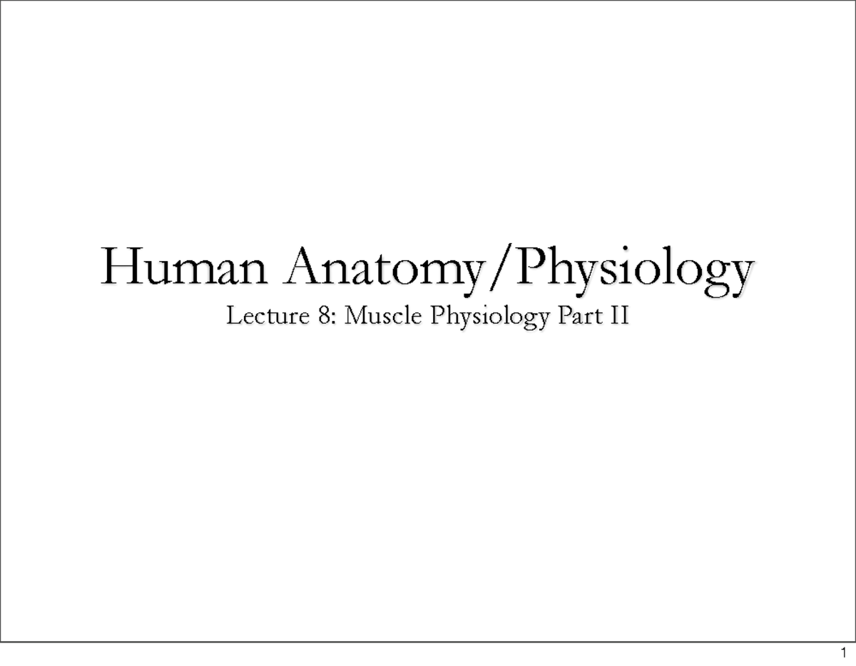 Human Anatomy/Physiology Lecture 8: Muscle Physiology Insights - Human ...