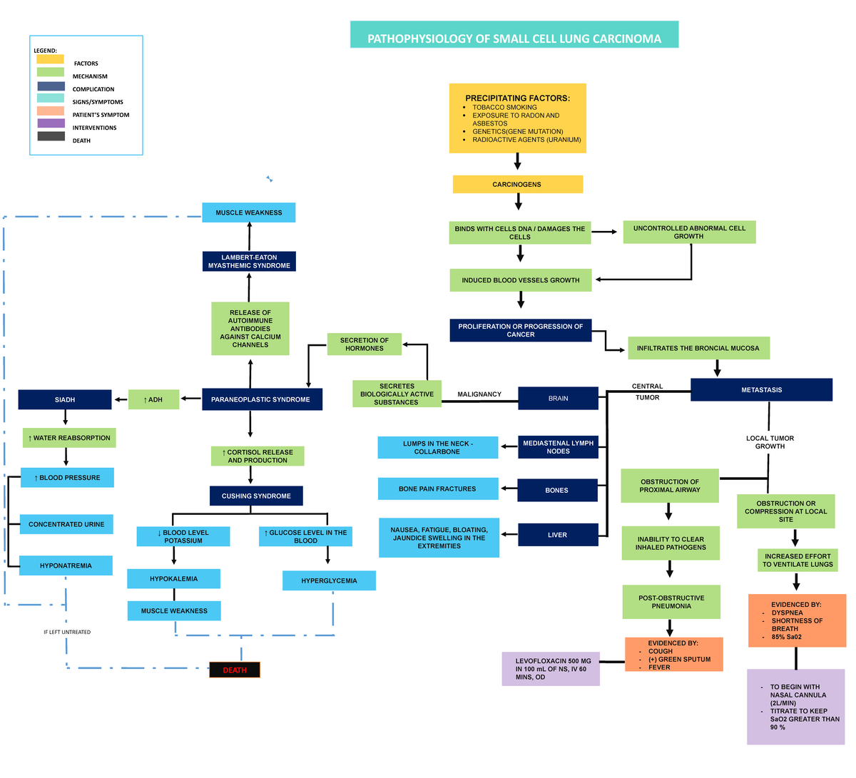 Pathophysiology - ONCOLOGY - UNCONTROLLED ABNORMAL CELL GROWTH LEGEND ...