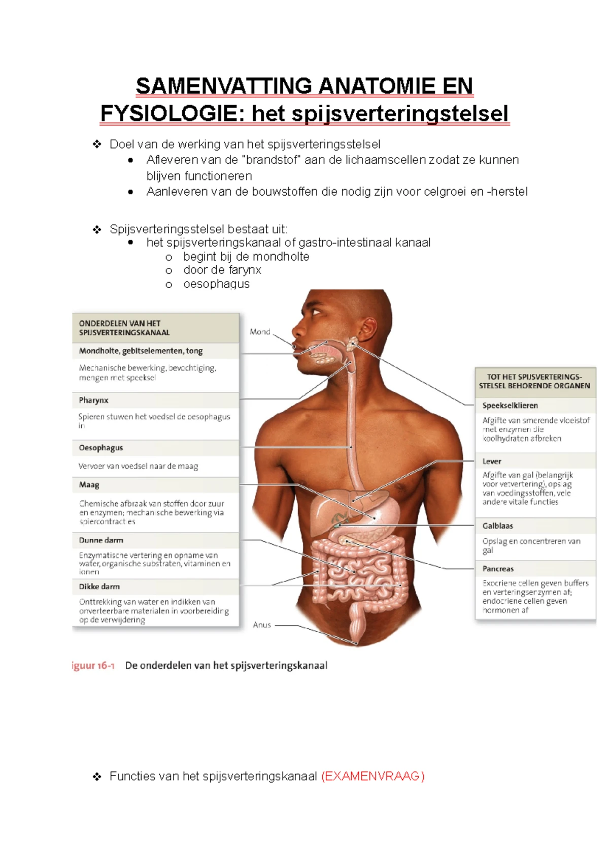 Organische Stoffen Naamgeving: Stappenplan en Voorbeelden - Studeersnel