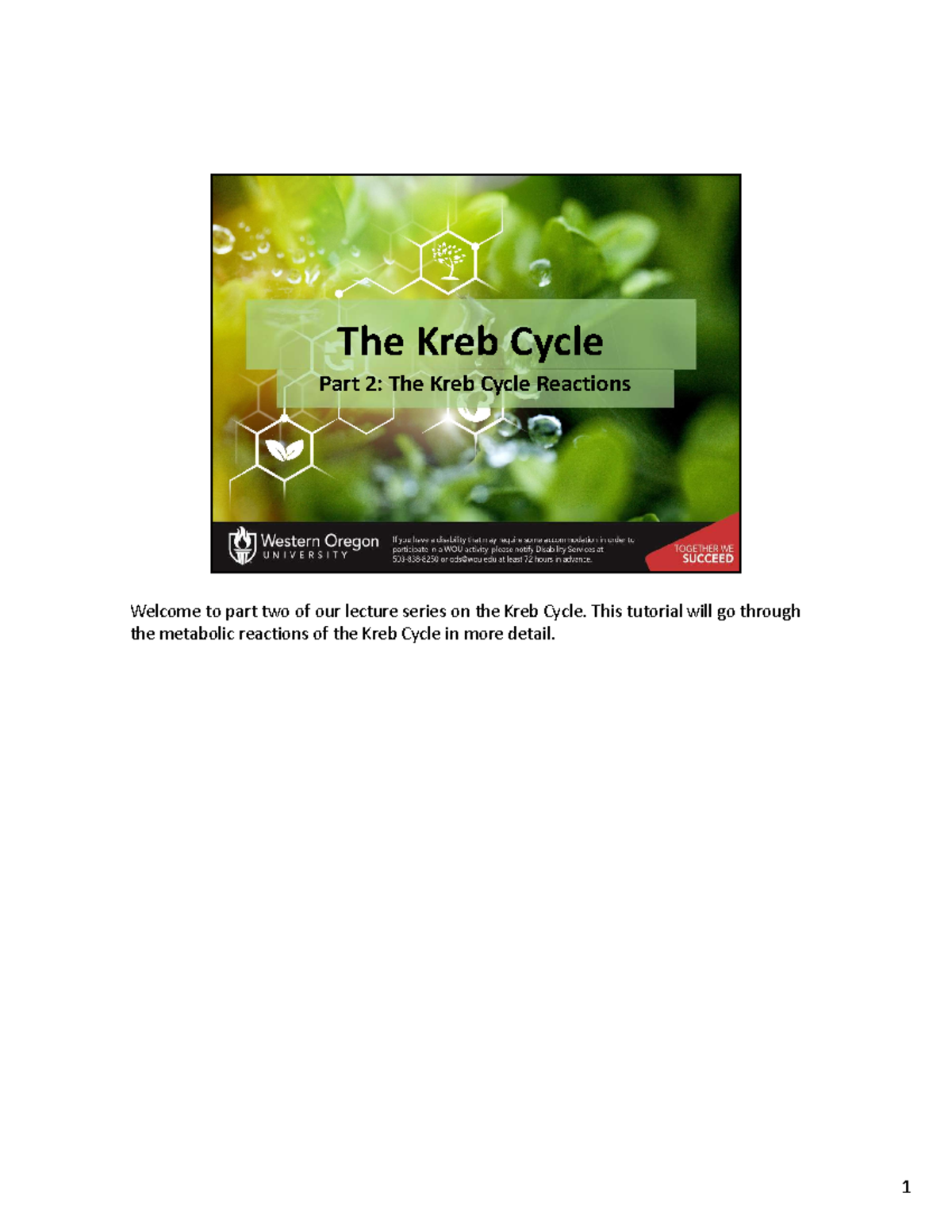 Kreb Cycle Part 2 The Reactions 2 - The Kreb Cycle Part 2: The Kreb ...