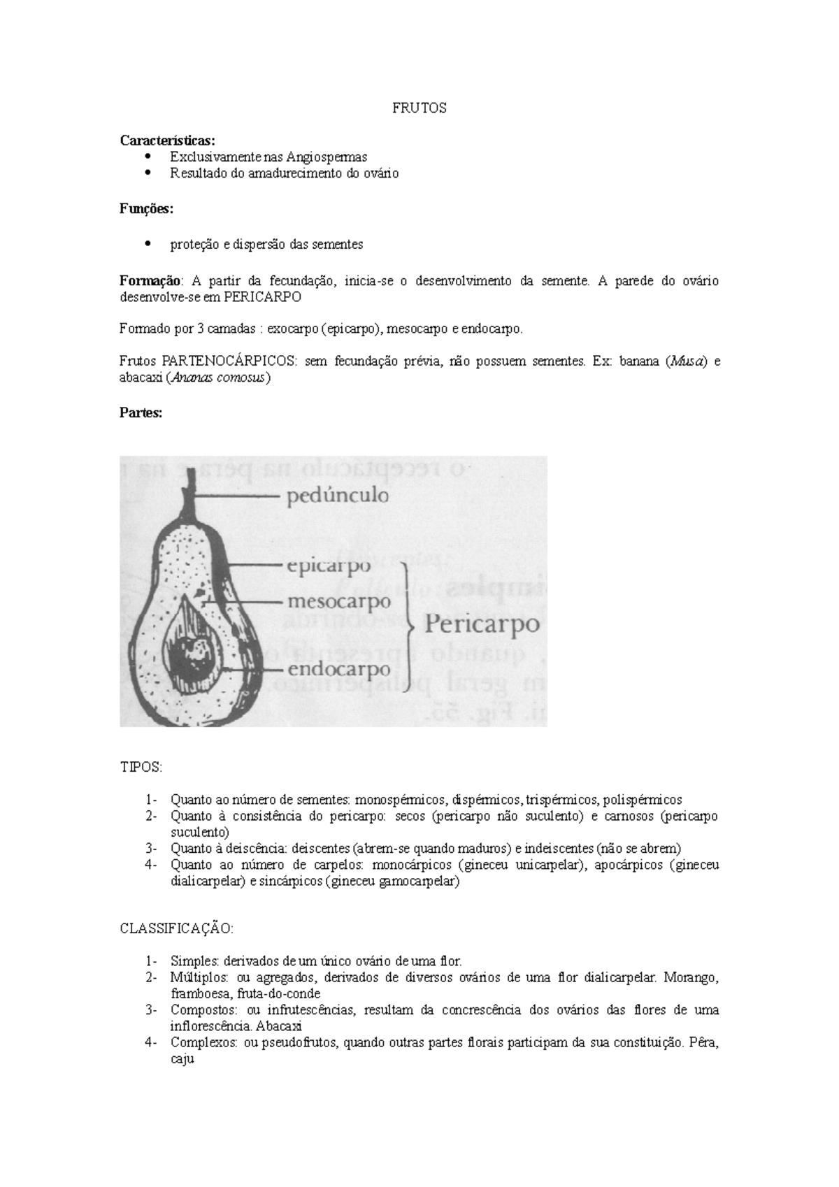 Frutos e Classificação em Angiospermas - Aula de Botânica (BIO 101 ...