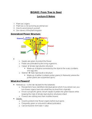BIOA02H3 Lecture 1: Introduction to Physiology and Nervous System ...