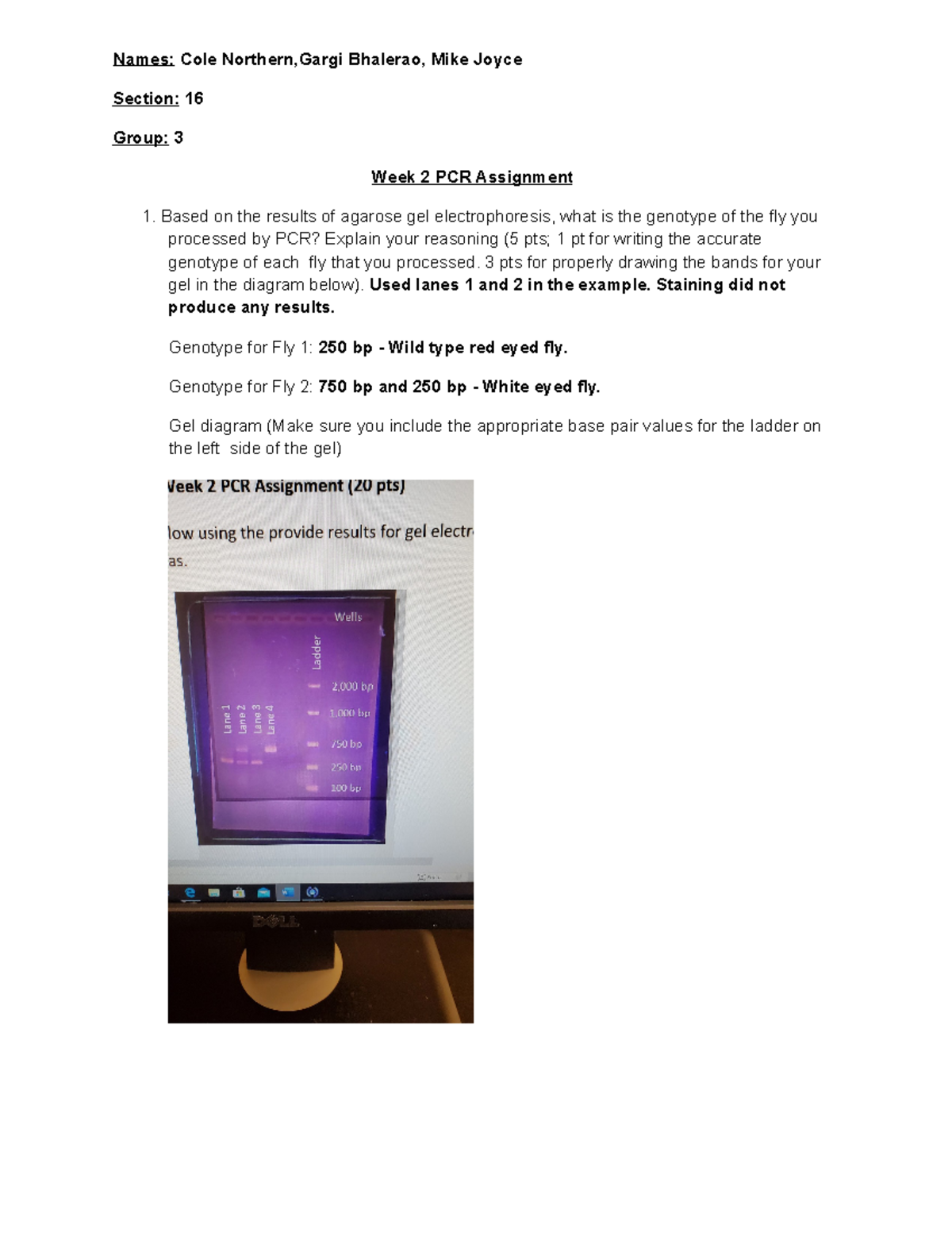 Week 2 PCR Assignment - Deprecated API usage: The SVG back-end is no ...