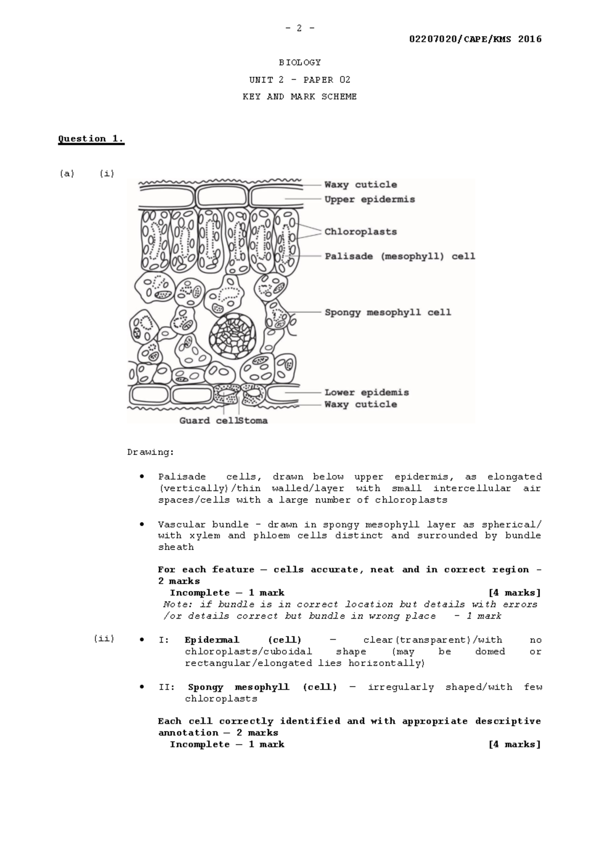 CAPE Biology 2016 U2 P2 Solutions: Key and Mark Scheme - Studocu