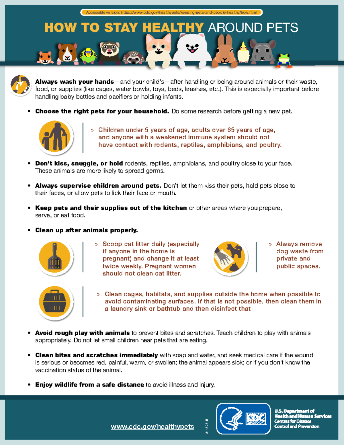 How to Stay Healthy Around Pets: Essential Tips for Safety - Studocu