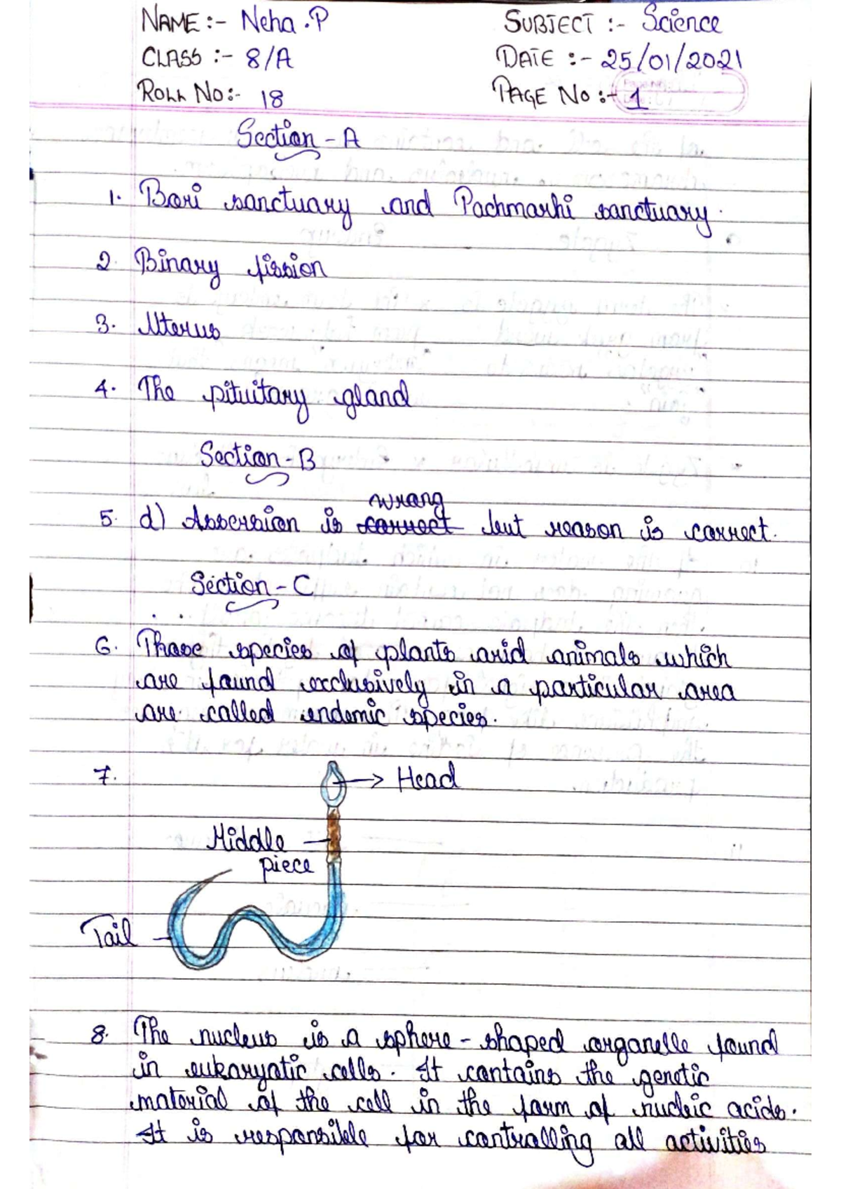 Science (PT3) Answer Sheet: Key Concepts and Definitions - Studocu
