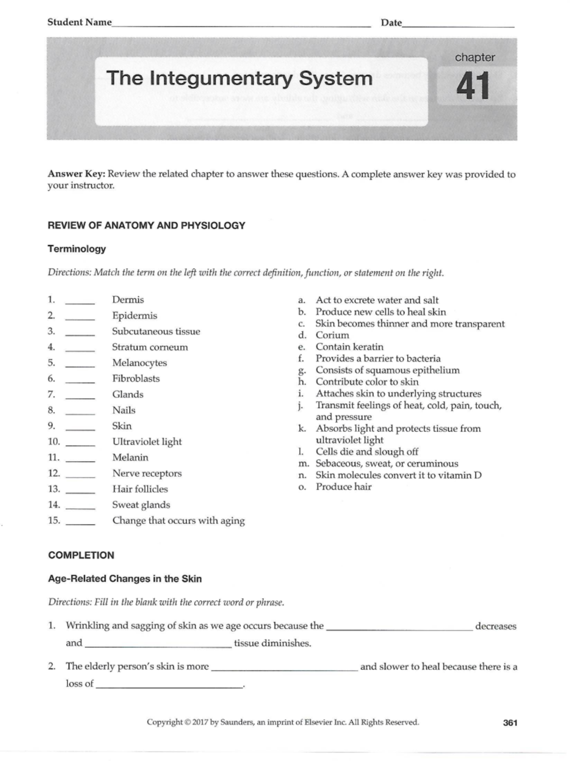 Integumentary System Study Guide [Ch. 41] - Answer Key & Review - Studocu