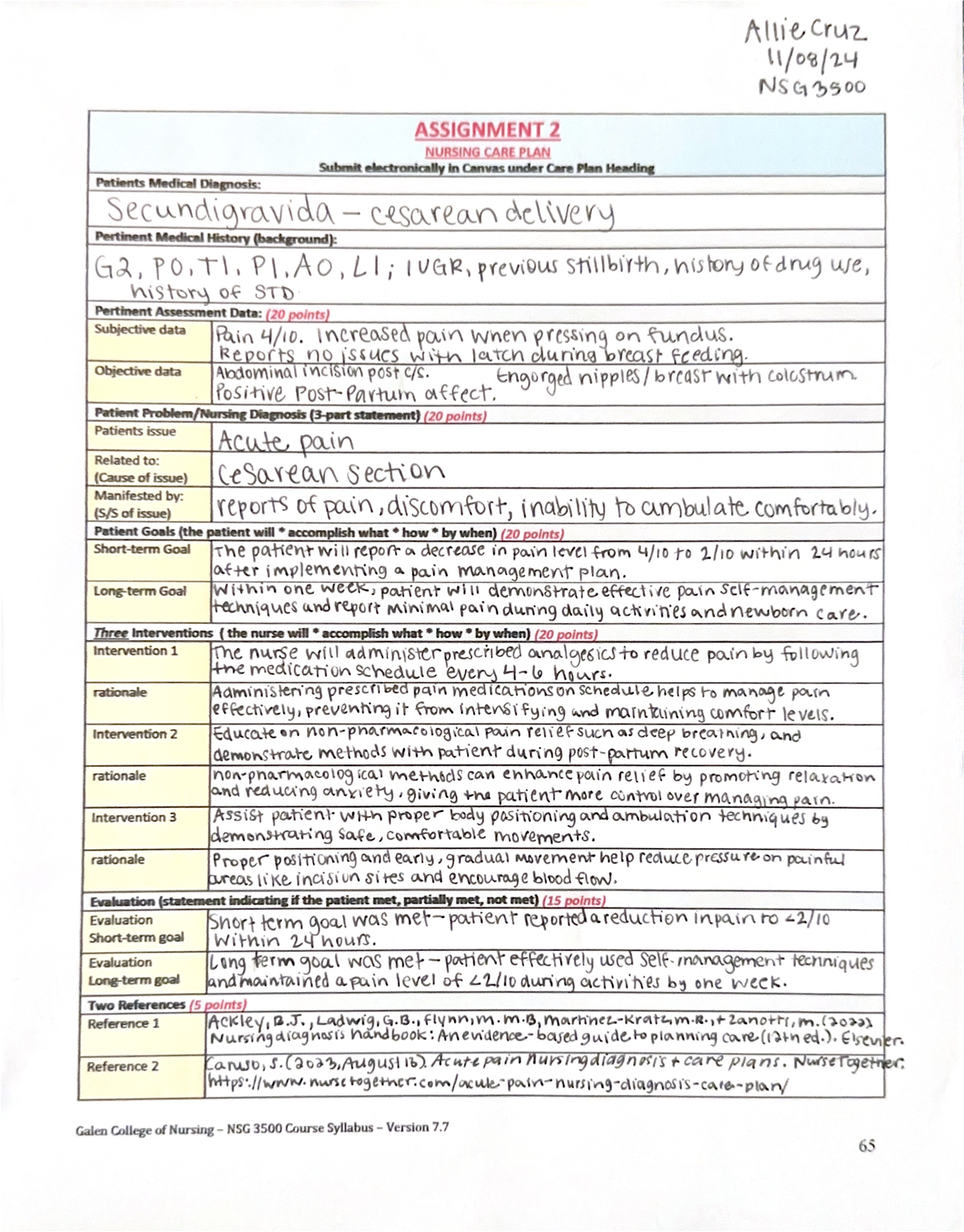 3500 care plan 1 - care plan - Allie cruz NSG3500 ASSIGNMENT 2 NURSING ...
