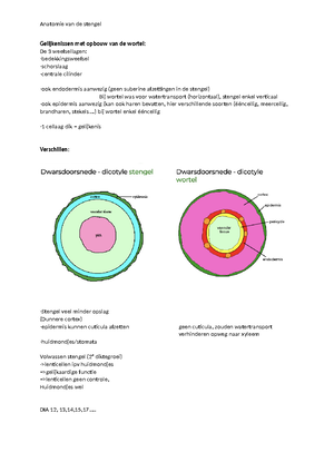 Monocotylen (eenzaadlobbigen) - Monocotylen (eenzaadlobbigen) Verschil ...