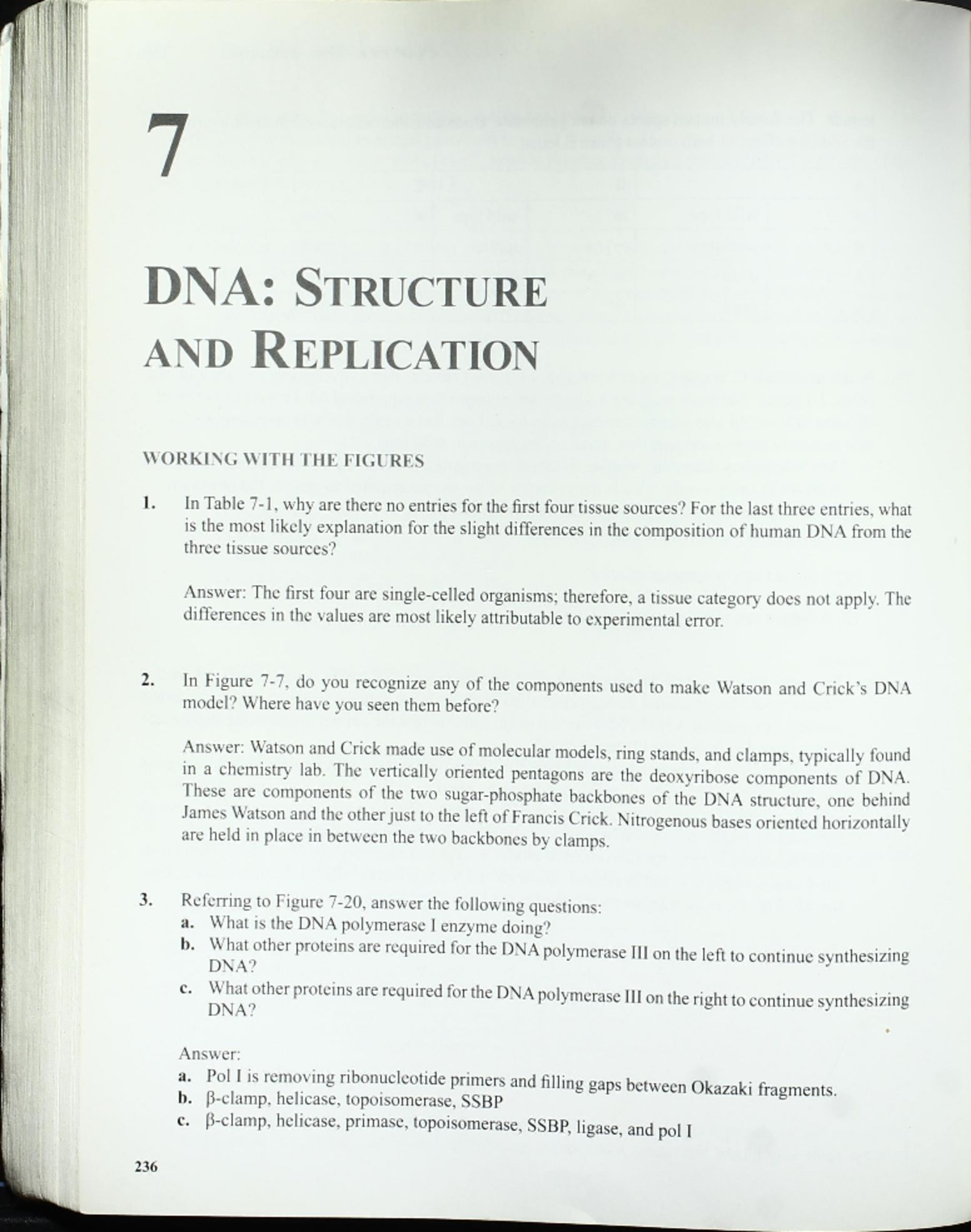 Ch 7 DNA: Structure and Replication - Exercise Examples and Answers ...