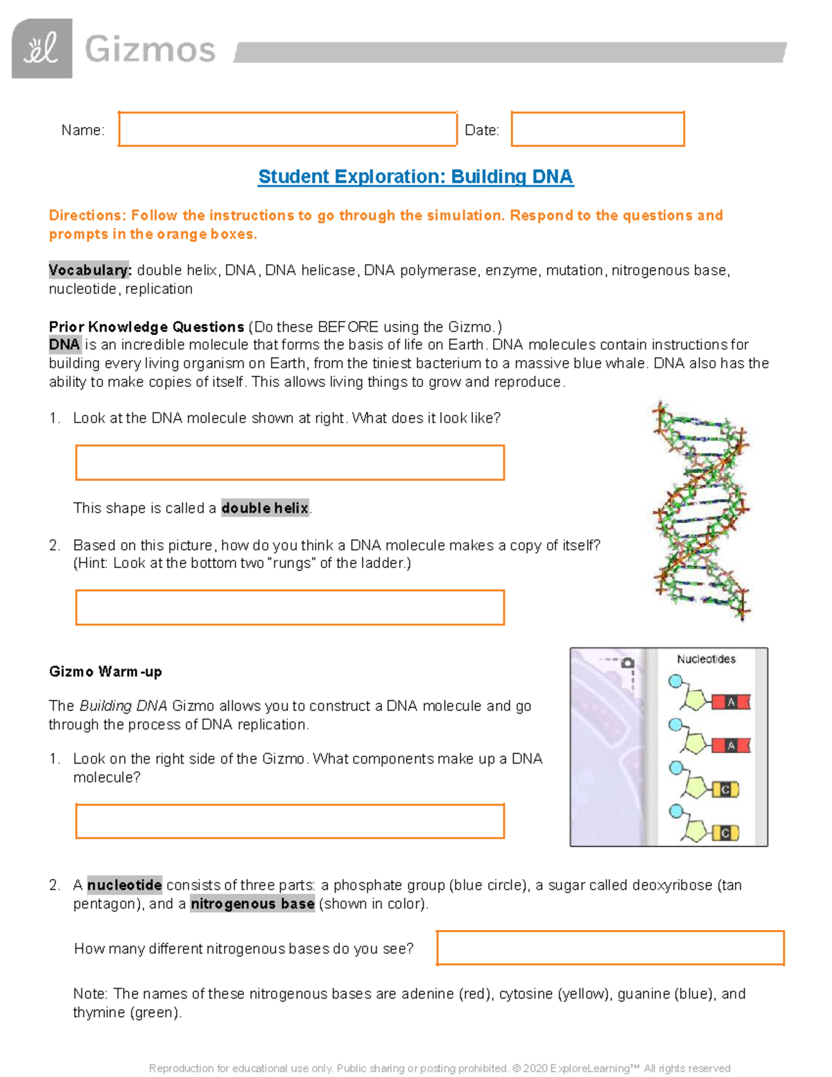 Copy of Building DNA Simulation Activity (BIO101) - Studocu