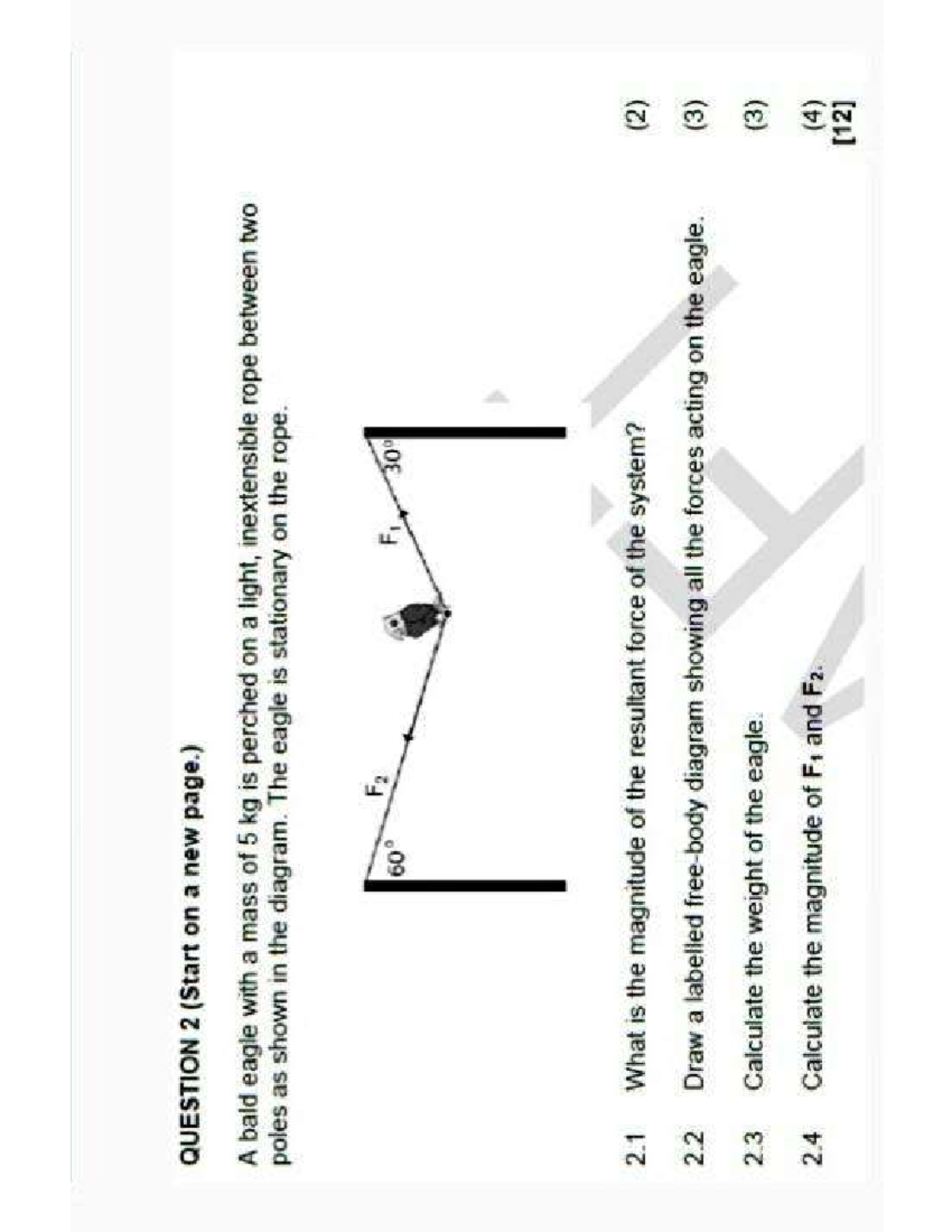 Vectors Grade 11 - Practice Material for Resultant Forces and Diagrams ...