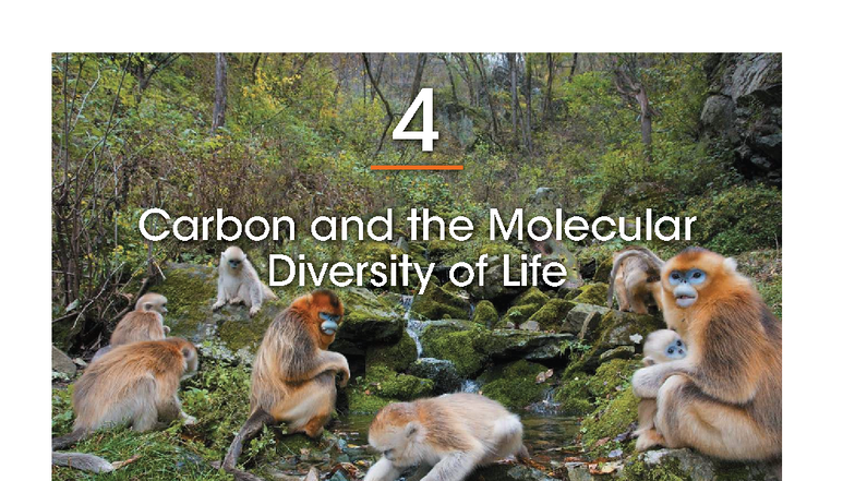Chapter 4: The Role of Carbon in Molecular Diversity (Biology 101 ...