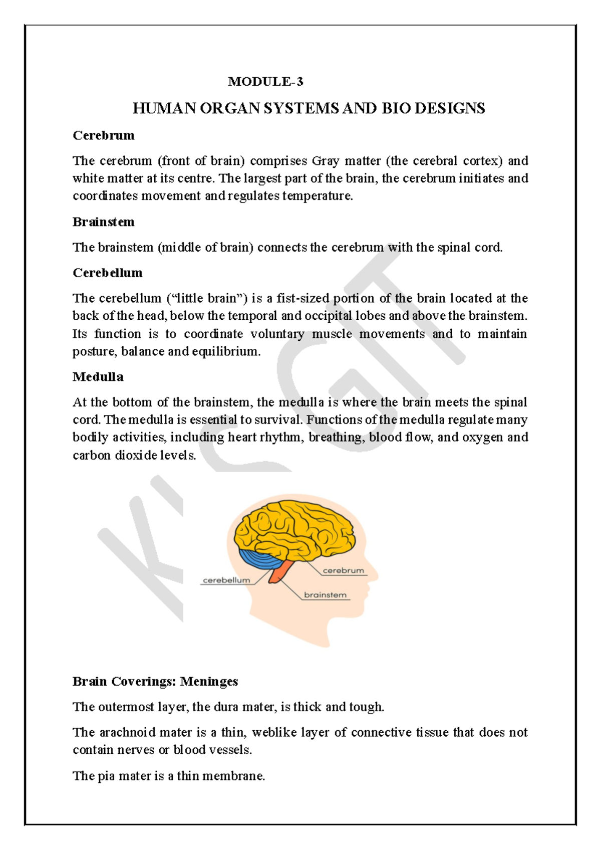 Module 3 Notes - Human Organ Systems and Bio Designs Overview - Studocu