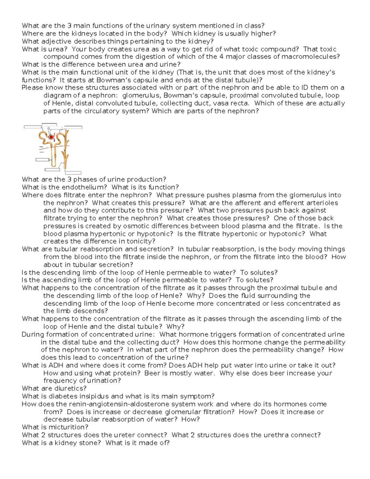 Functions and Anatomy of the Urinary System - Anatomy 101 Notes - What ...