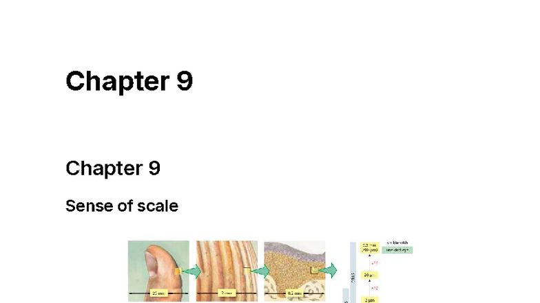 BIOL2021 - Chapter 9: Sense of Scale & Measurement Notes - Studocu