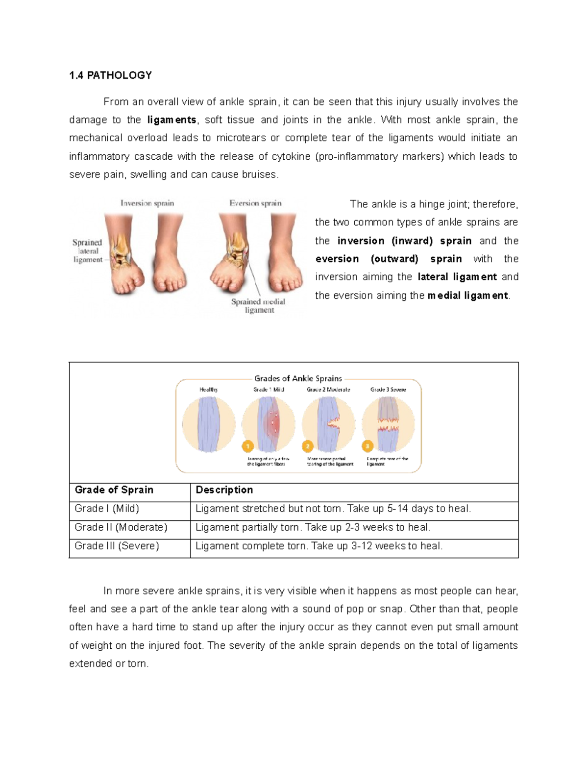 SPS290 Ankle Sprain Pathology and Rehabilitation Exercises - Studocu