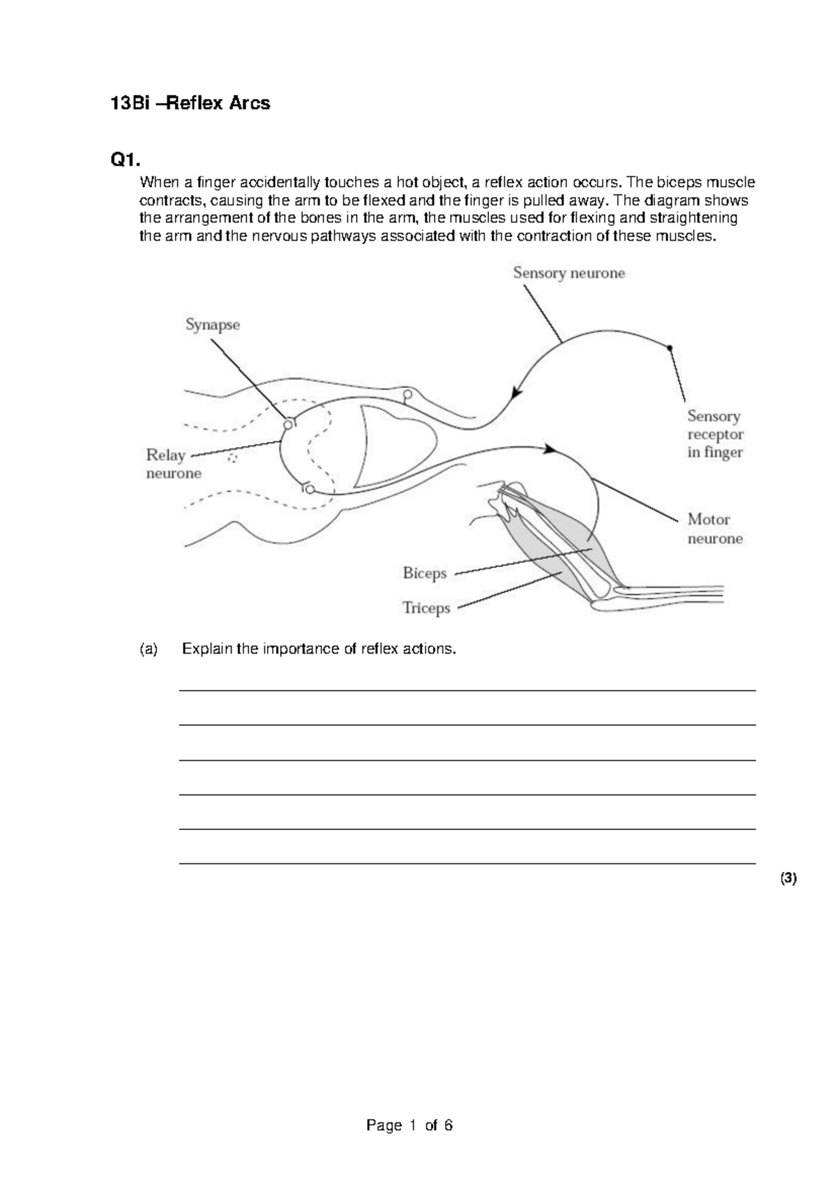 Reflex Actions and Simple Reflex Arcs - 13Bi Practice Qs - Studocu